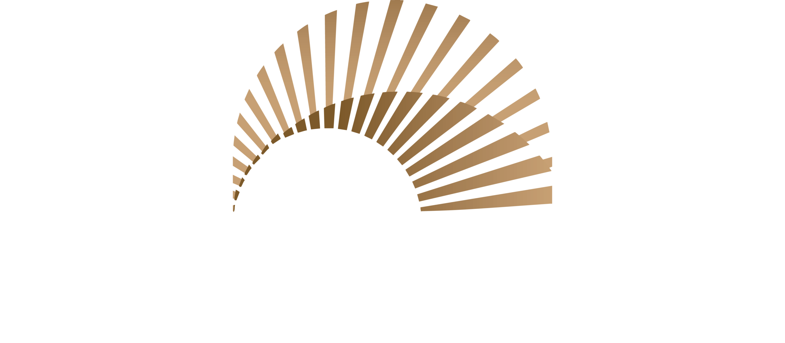 Sobre a Vizio - Vizio Capital